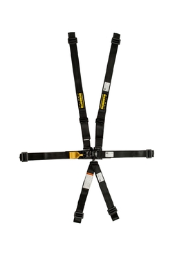 Buy EMRAX 228 Axial flux motor formula student